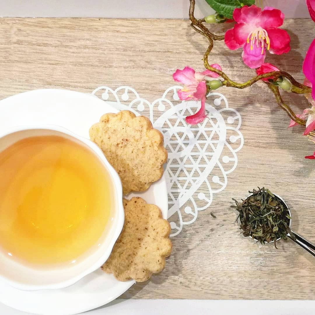 Perchè bere Tè – Bertin